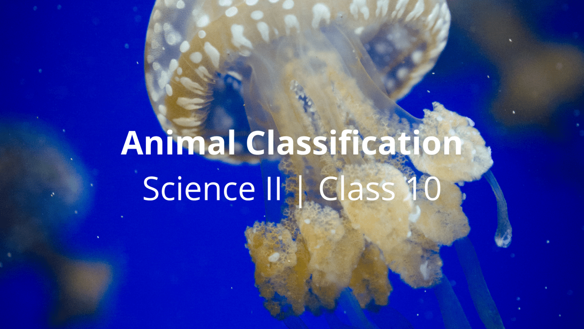 6- Animal Classification | Part 3 | Science II | Class 10 – Dr. Ganesh ...